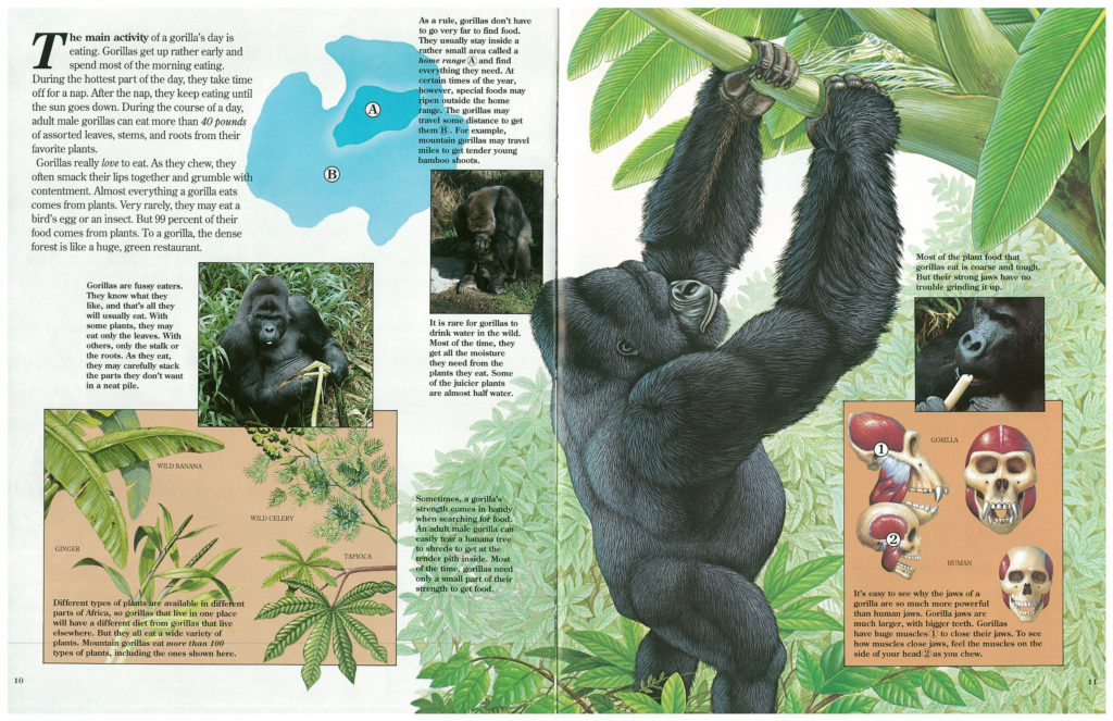 Gorillas and More: Free ZooBooks - Wyoming State Library