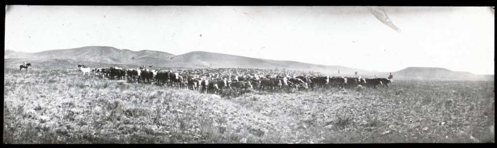 National Archives 2020 Year in Review - Wyoming State Library