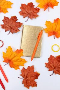 Happy Dear Diary Day (and First Day of Fall)! - Wyoming State Library